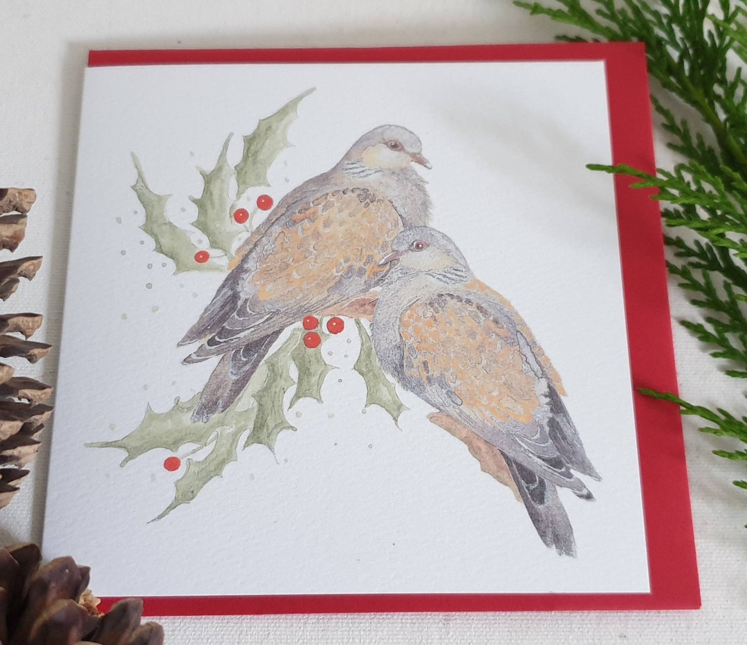 Turtle Dove Christmas Card. Christmas Card With a Turtle Dove. Dove ...