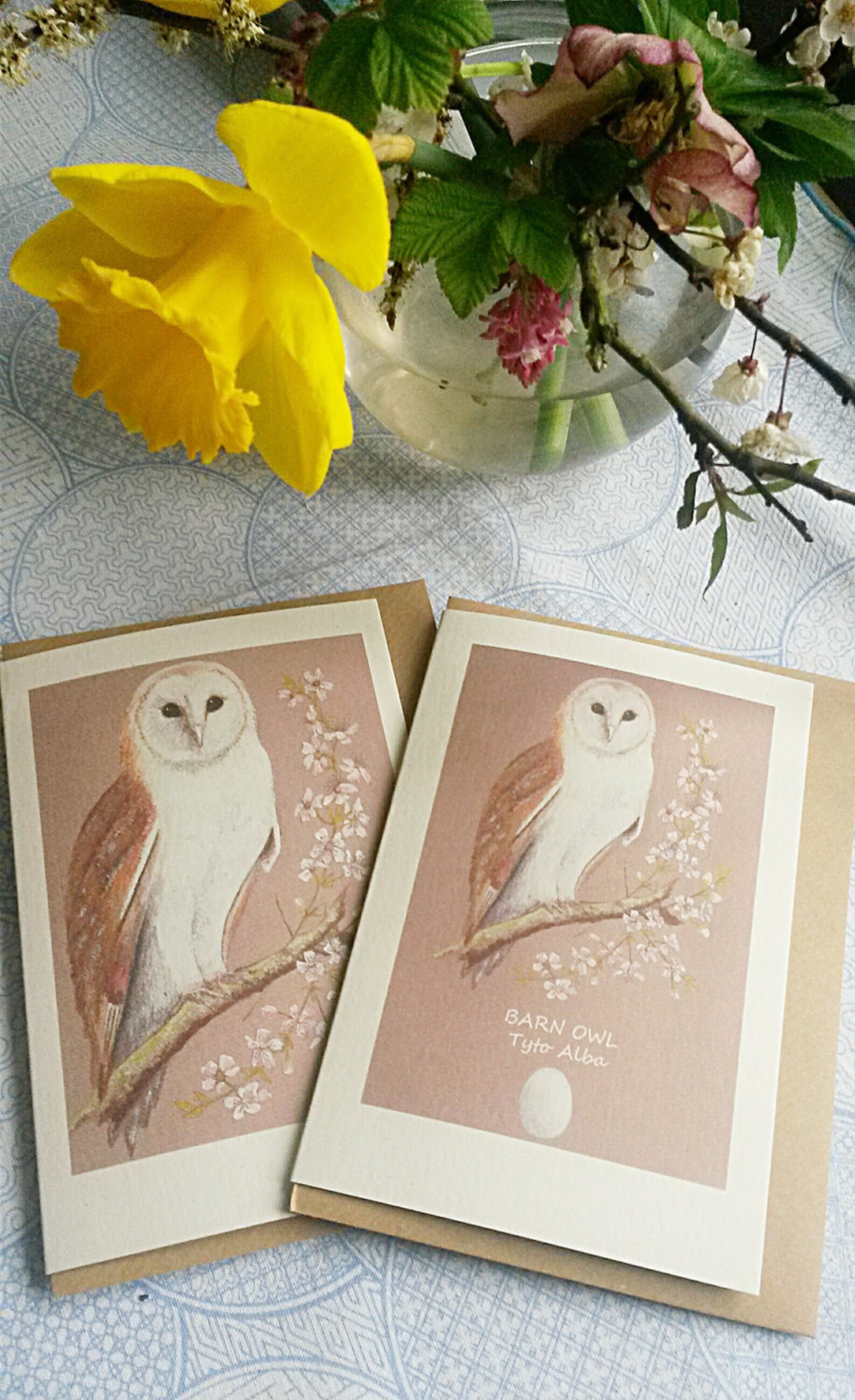 Barn Owl. Originally Hand Painted. Recycled Card. British Bird. Bird of ...