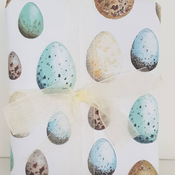 Blue Bird Eggs - Etsy