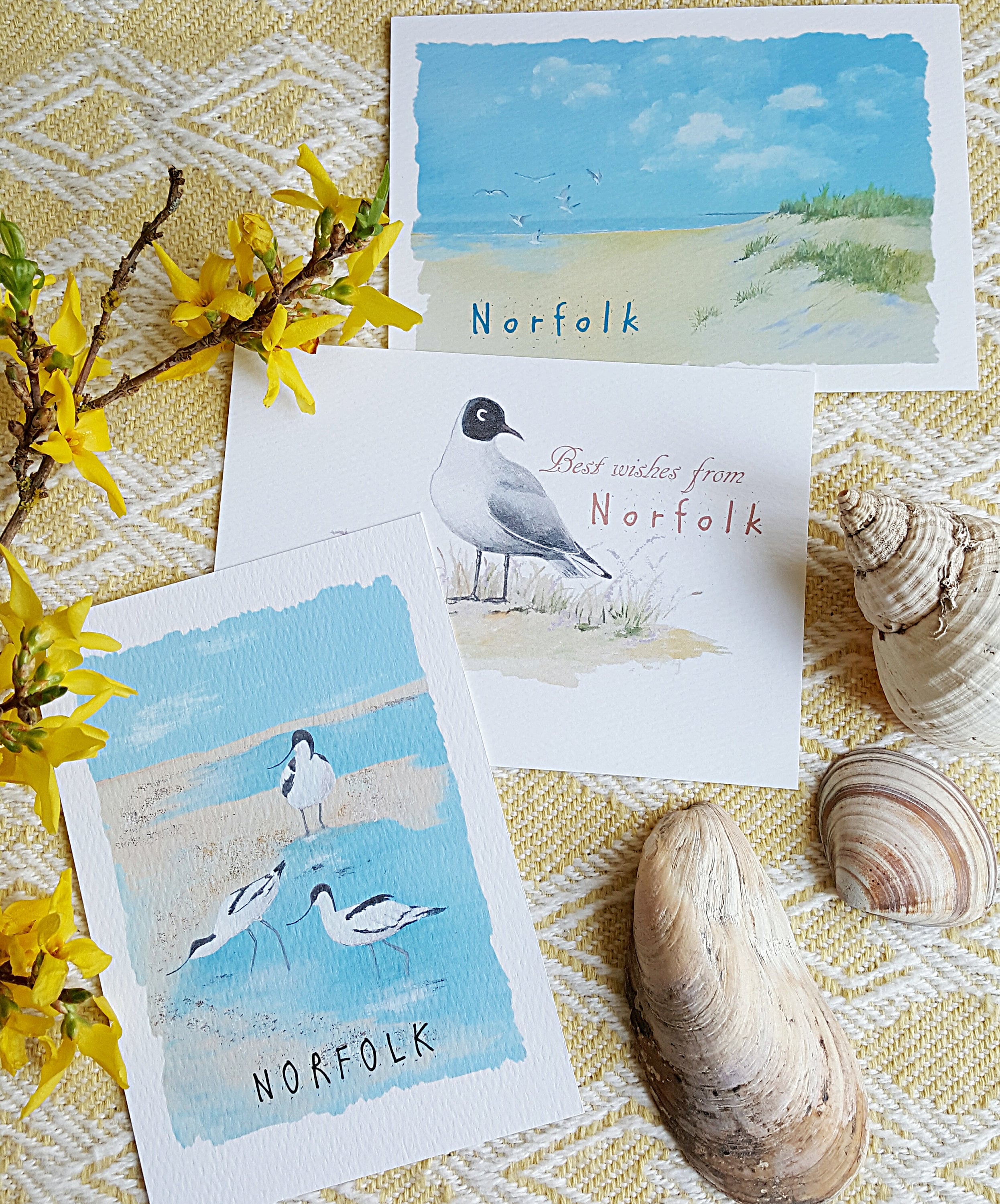 Norfolk Postcards. Postcards From Norfolk. Images of Norfolk. Norfolk ...
