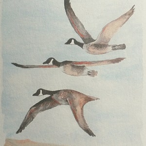 Flying Geese Card. Canadian Geese. Norfolk Wildlife. Hand Painted Bird ...