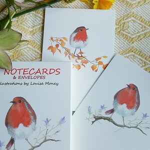 Robin Notecards. Two Robin Designs Featured in a Notecard Pack of Eight ...