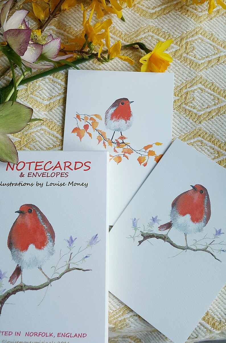 Robin Notecards. Two Robin Designs Featured in a Notecard Pack | Etsy