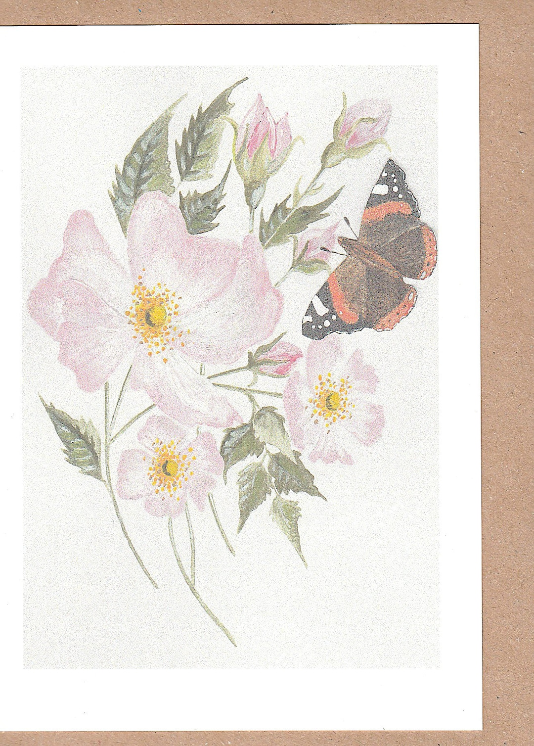 Wild Rose Card. Wild Rose Painting. Wild Flower Card. Card With Wild ...