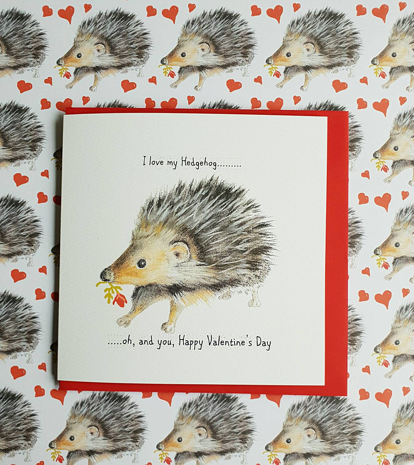 Hedgehog Valentine Card. Hedgehog Valentine Gift. Hedgehog - Etsy UK