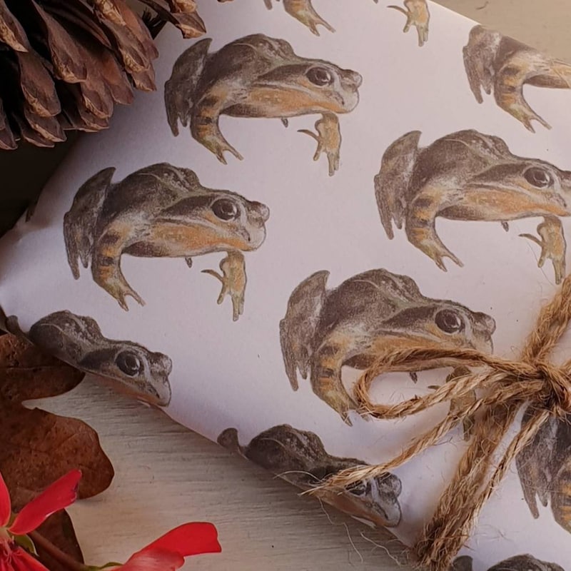 Frog Gift - 60+ Gift Ideas for 2025