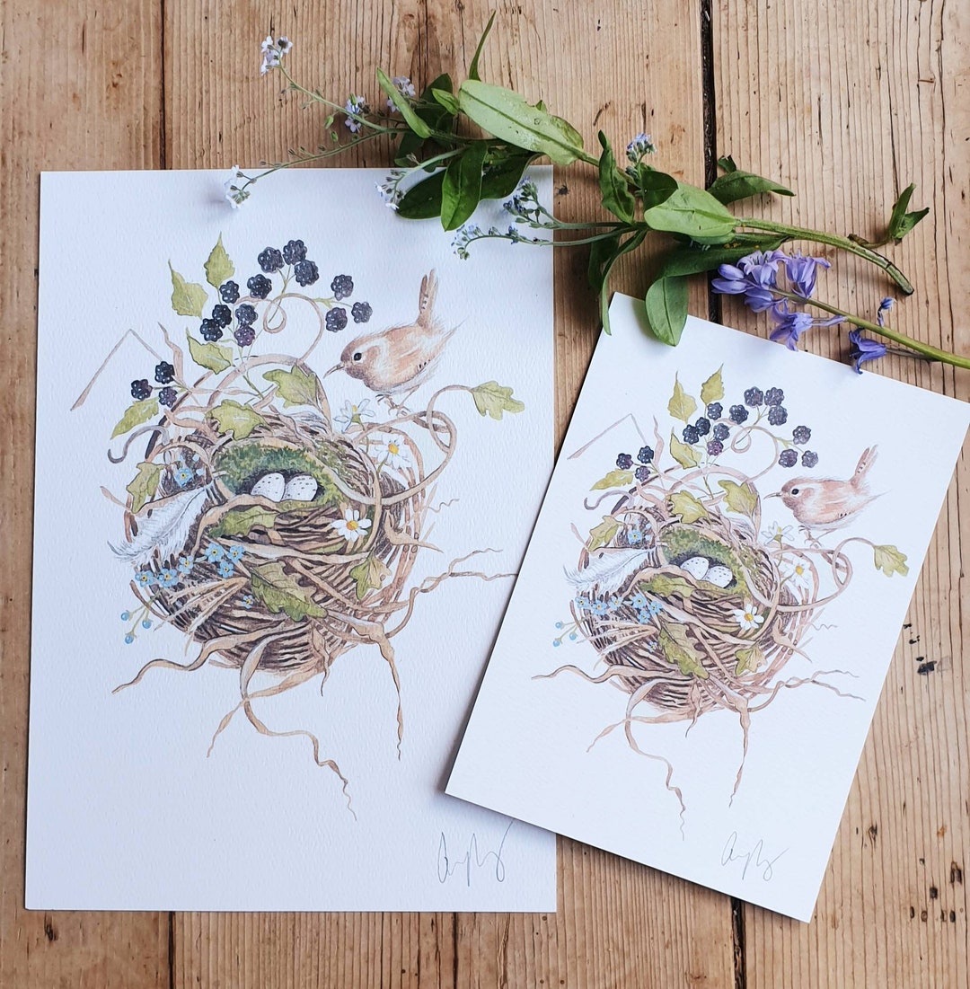 Wren Print. Wren Art. Wren Drawing. Wren Painting. Picture of a Wren ...