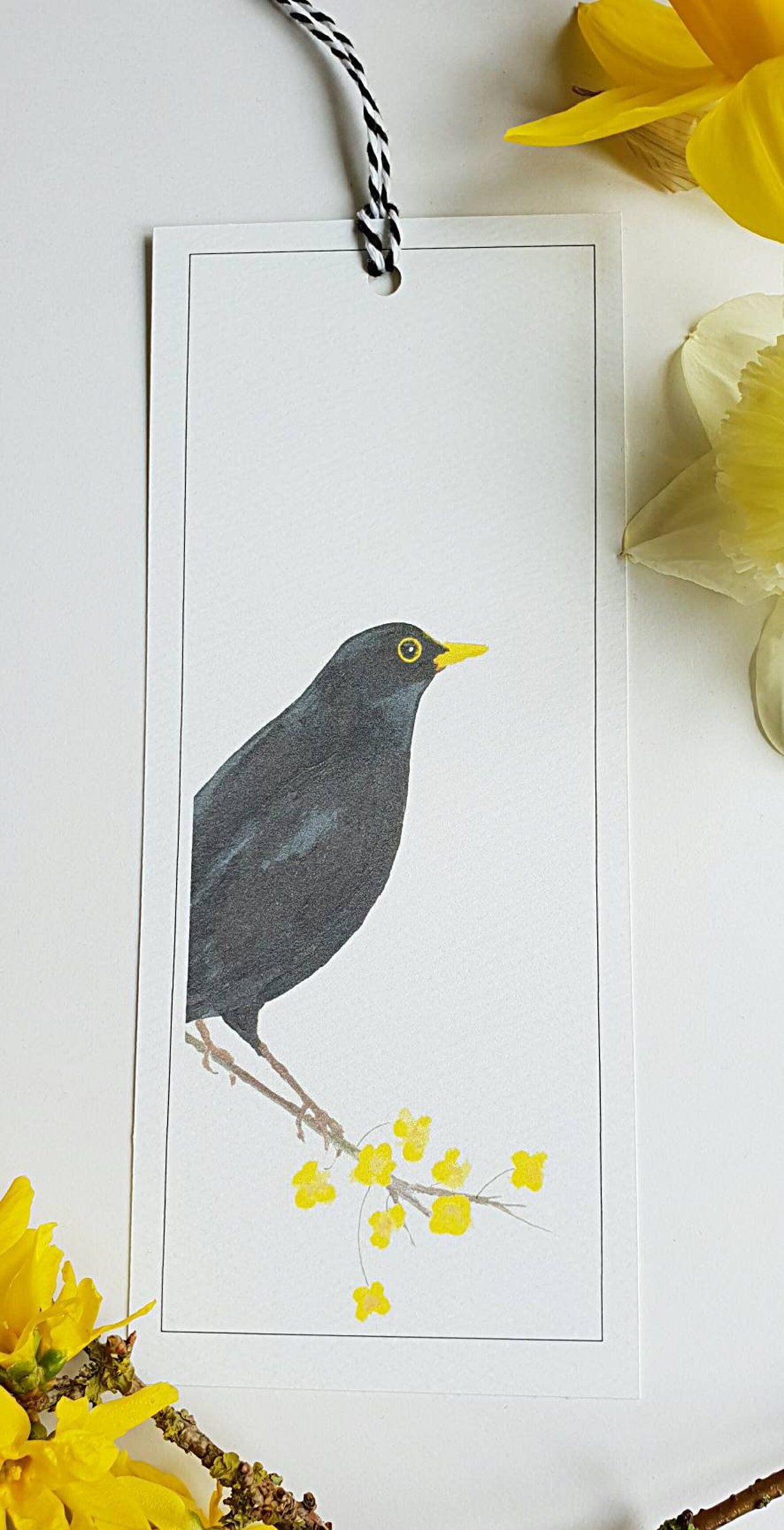 Bookmarks. Robin Bookmark. Thrush Bookmark. Coal Tit Bookmark. Blue Tit ...
