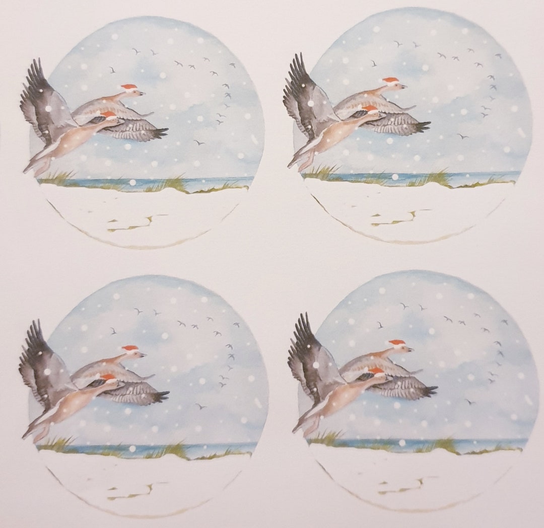 Geese Christmas Wrapping Paper. Pink Footed Geese. Goose Wrapping Paper ...