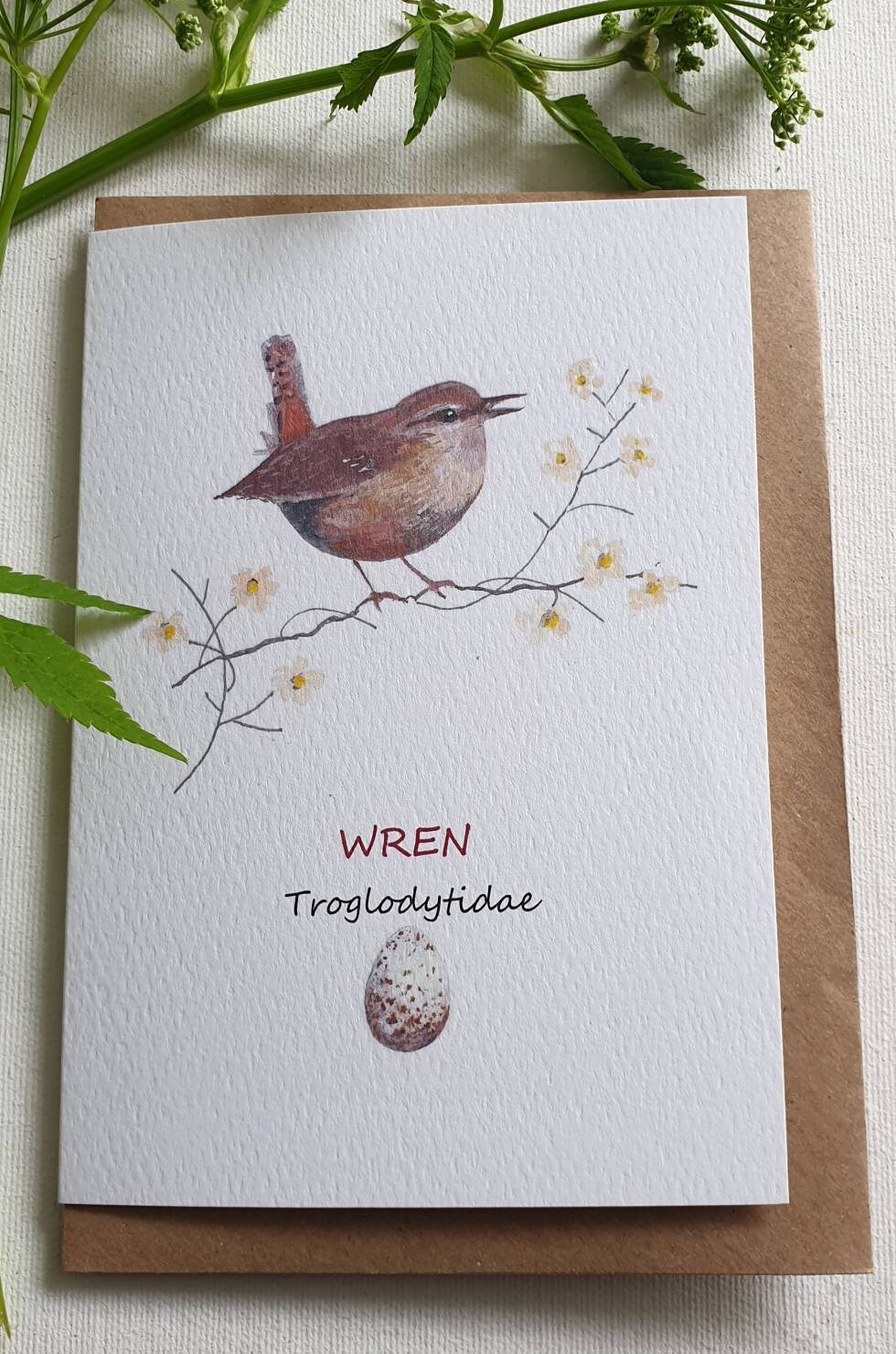 Bird Card Set. Set of Five Bird Cards. Hand Made. Wren - Etsy