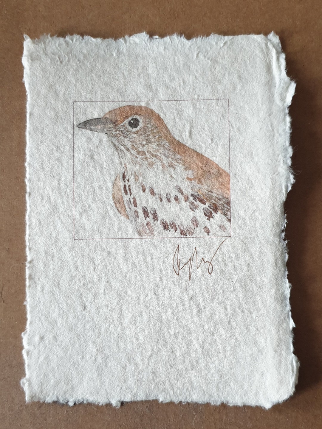 Thrush Print. Handmade Paper Thrush Print. Thrush Picture. Thrus Image ...
