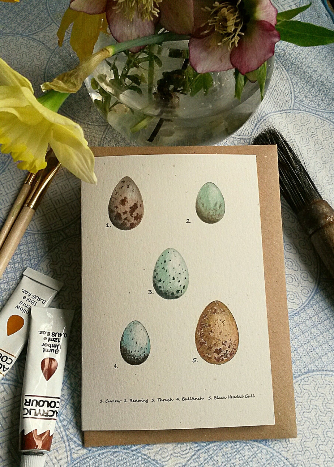 Egg Card. British Bird Egg Card. Curlew Egg. Redwing Egg. Thrush Egg ...