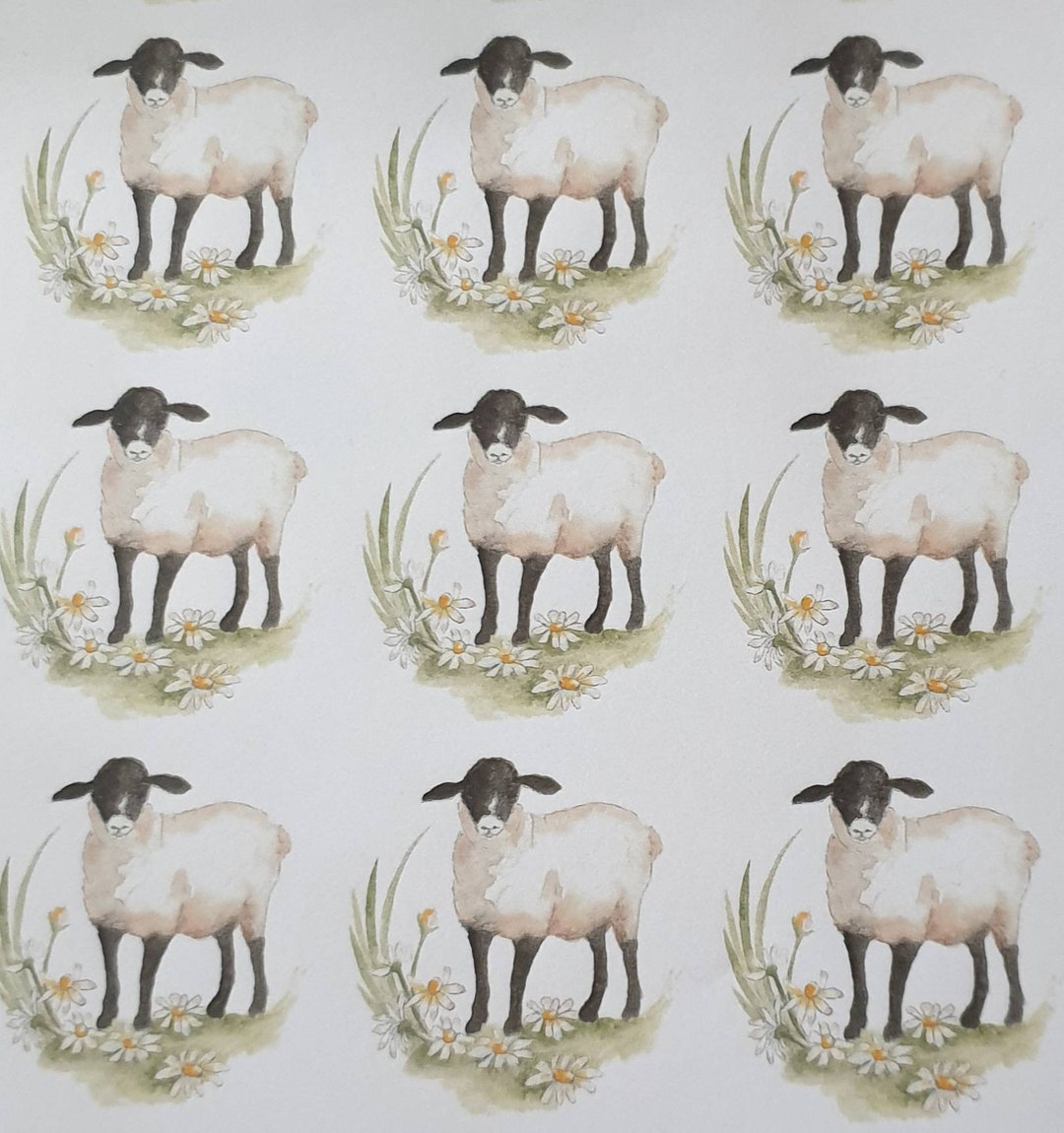 Sheep Wrapping Paper. Wrapping Paper With a Sheep. Original Artwork ...