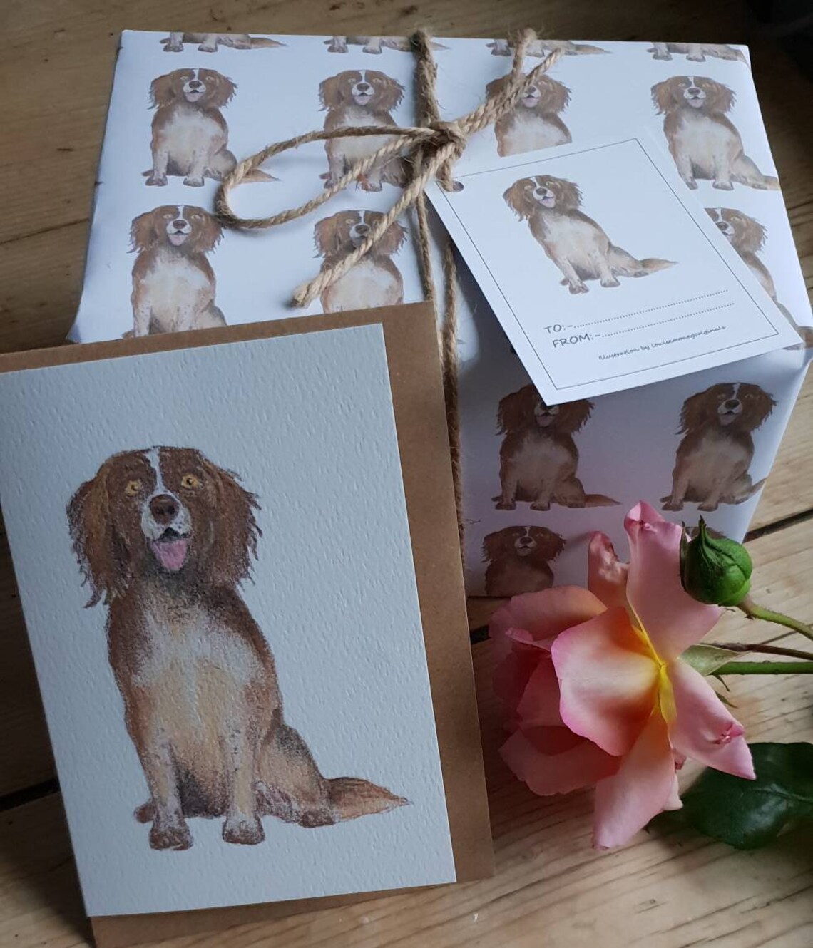 Spaniel Card. English Springer Spaniel. Card With a Spaniel. Spaniel ...