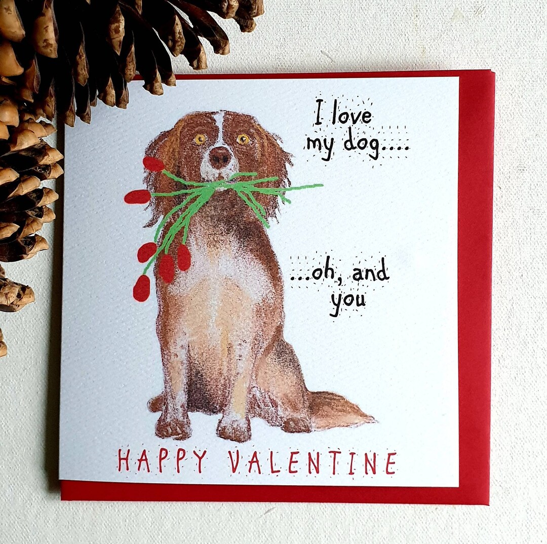 Spaniel Valentine Card. Springer Spaniel Valentine Card. Romantic ...