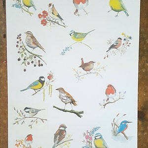 Bird Wrapping Paper. Mixed Bird Wrapping Paper. Gift Wrap With Birds ...