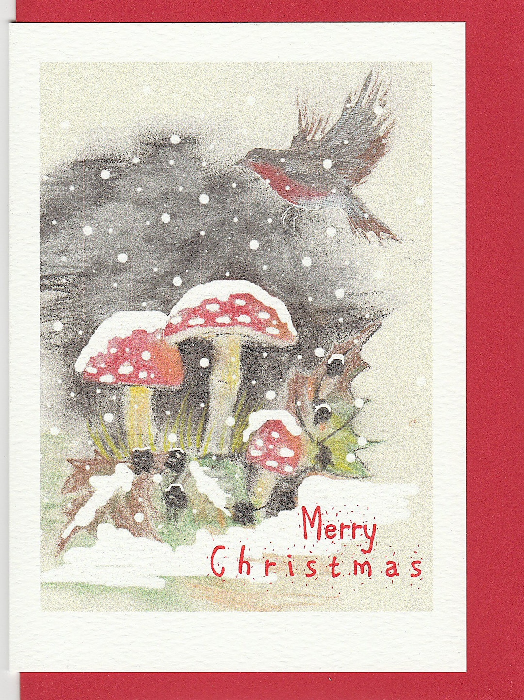 Robin and Toadstools Christmas Card. Robin Christmas Card. Robin ...