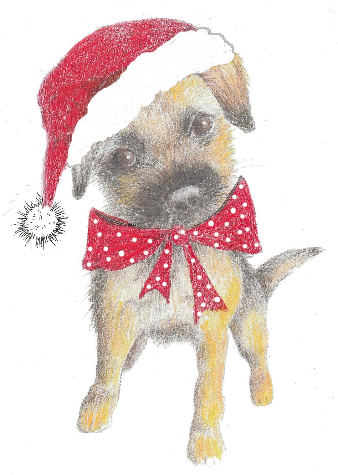 Border Terrier Christmas Card. Puppy Christmas Card. Border Terrier ...