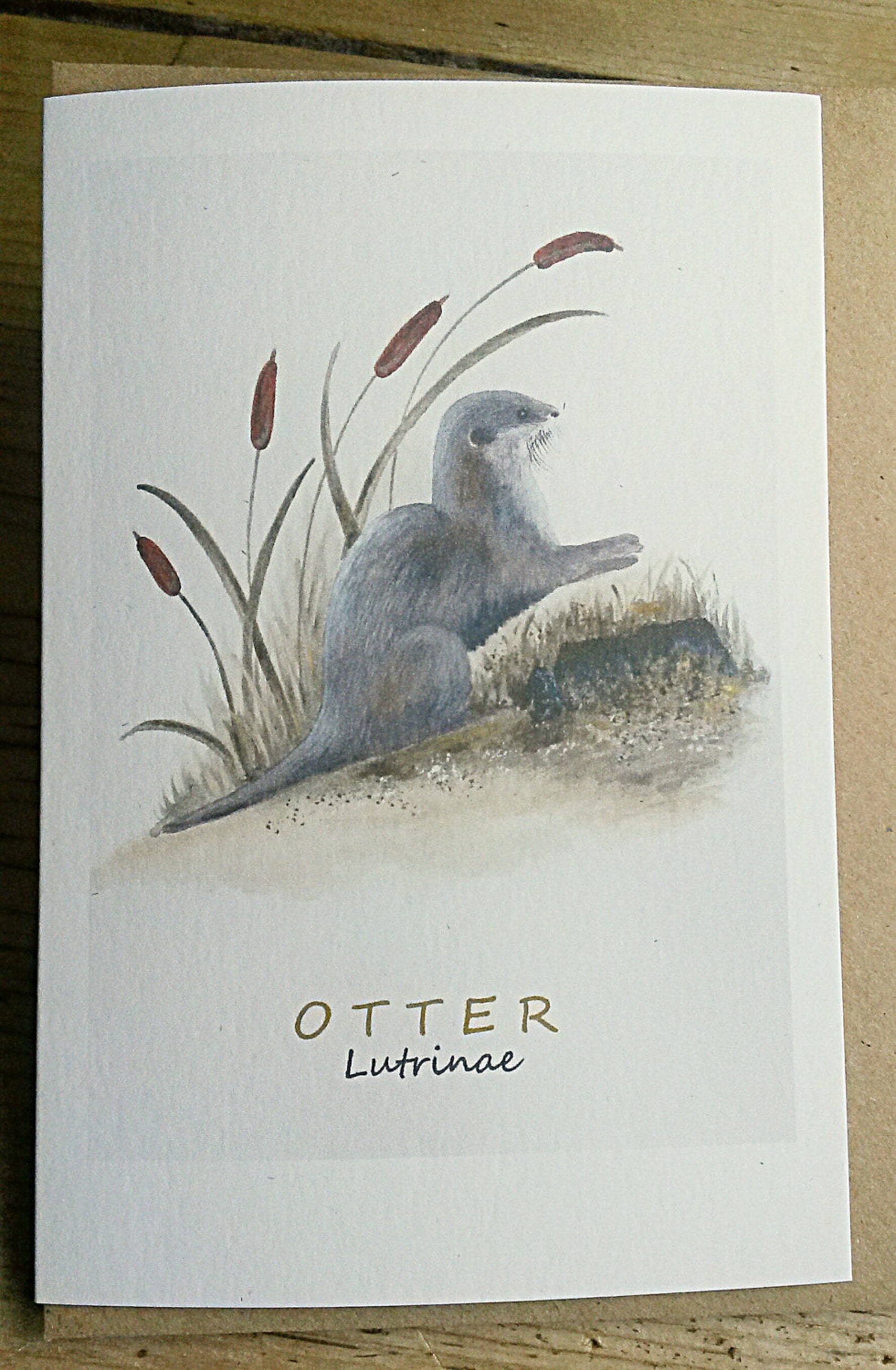 Otter card. Hand painted image printed on recycled card. Hand | Etsy