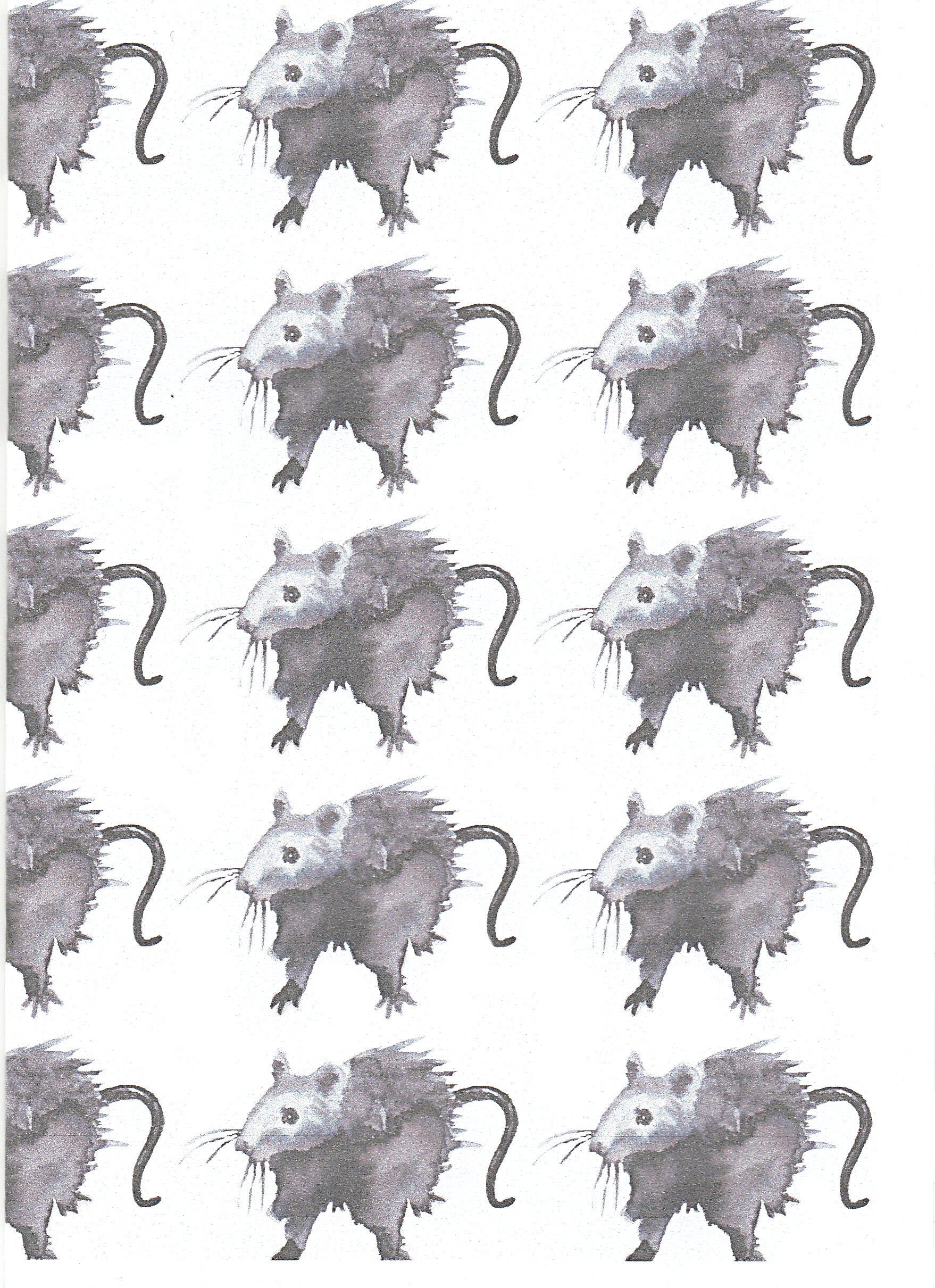 Rat Wrapping Paper. Gift Wrap and Tags With a Rat. Rat - Etsy