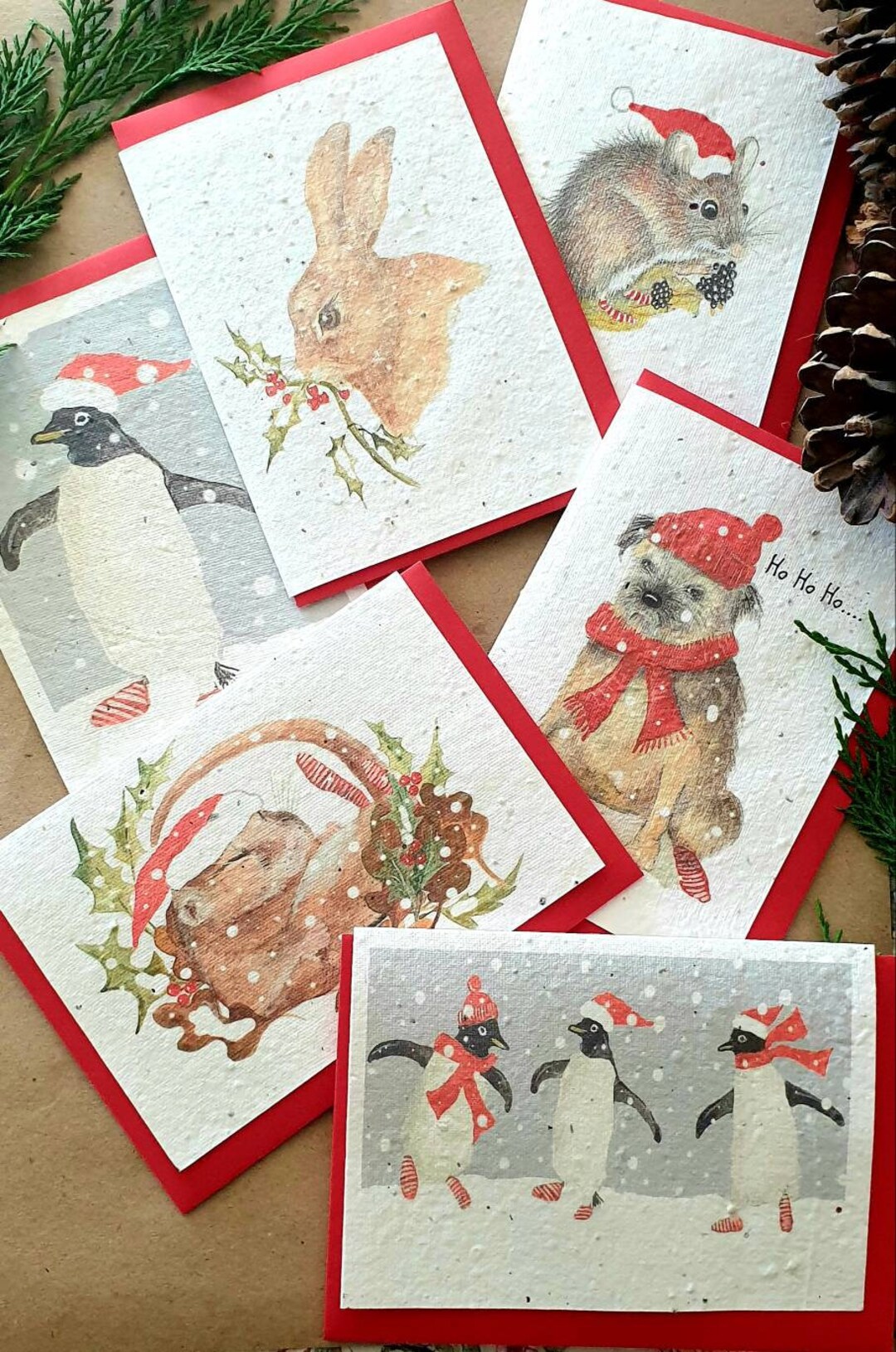 Seed Christmas Cards. Eco Christmas Cards. Recyclable Card. Seed Cards ...