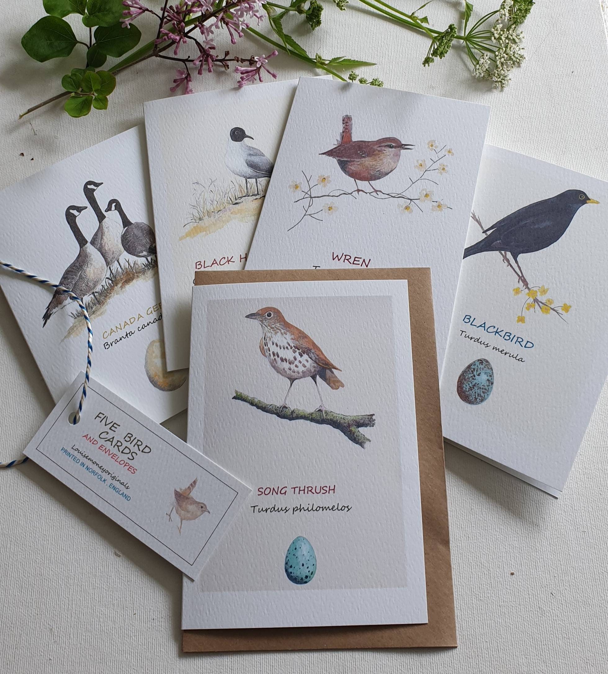 Bird Card Set. Set of Five Bird Cards. Hand Made. Wren - Etsy