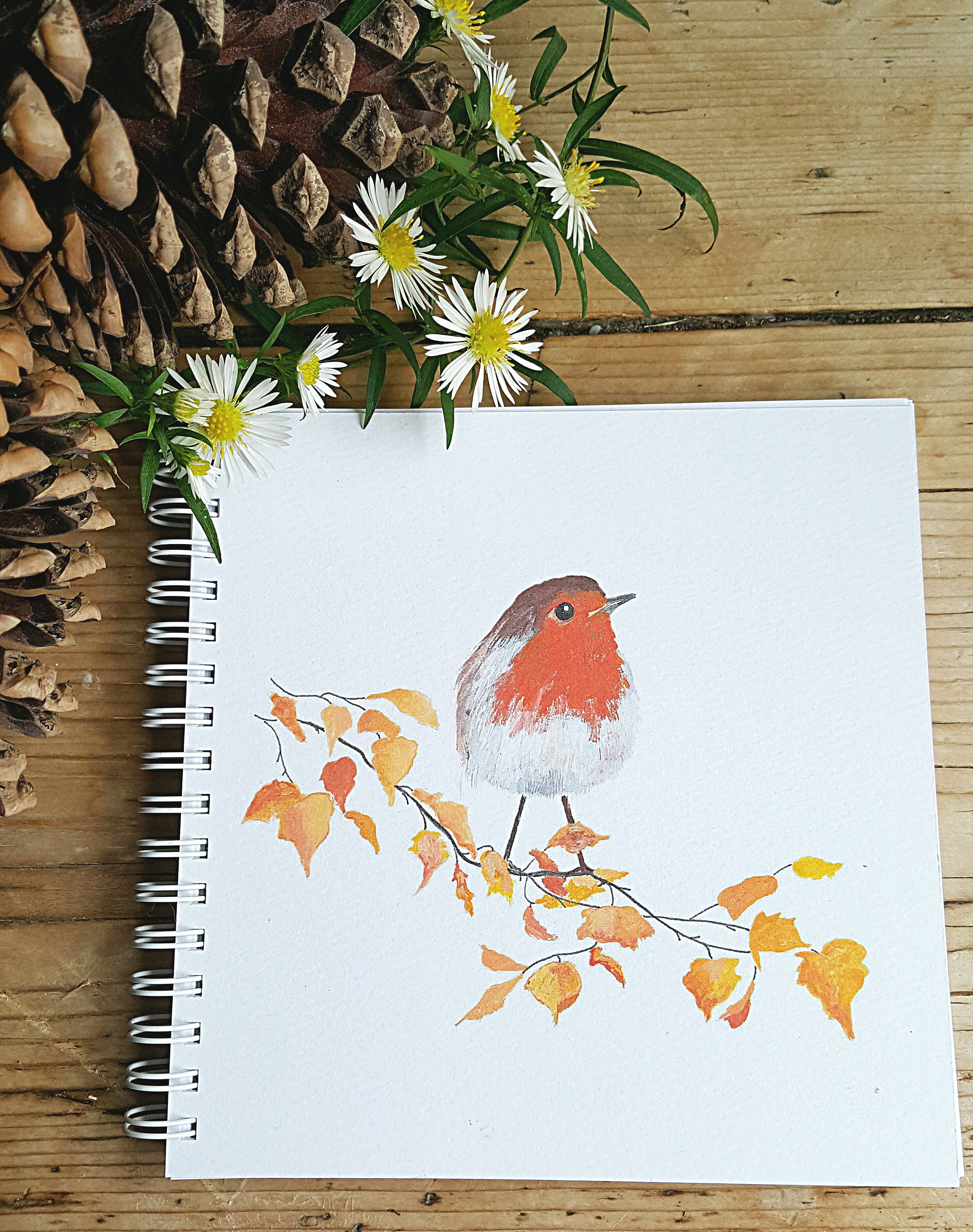Robin Notebook. British Bird Notebook. Hand Made. Originally - Etsy