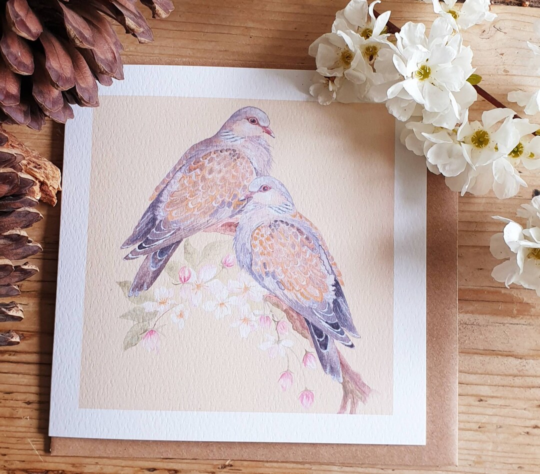 Turtle Dove Card. Card With a Turtle Dove. Turtle Dove Watercolour ...
