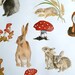 Woodland Wrapping Paper. Red Squirrel Gift Wrap. Wildlife Gift ...
