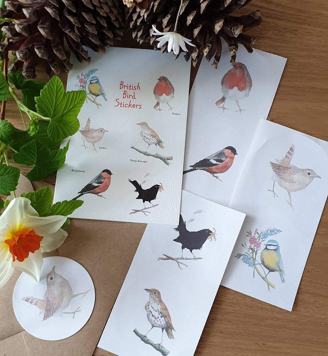 Bird Stickers. British Bird Stickers. English Garden Birds. Bird Gift ...