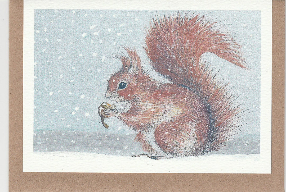 Squirrel in the Snow. Christmas Card. Squirrel Christmas Card. Squirrel ...