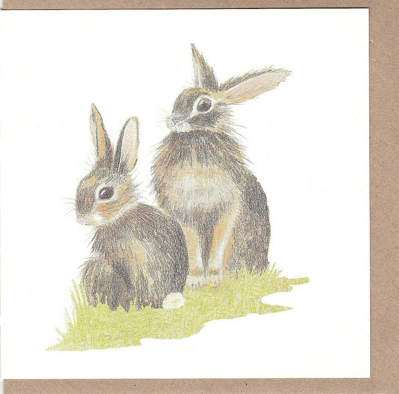Bunny Card. Card With Bunnies. Bunny Drawing. Painting of a - Etsy