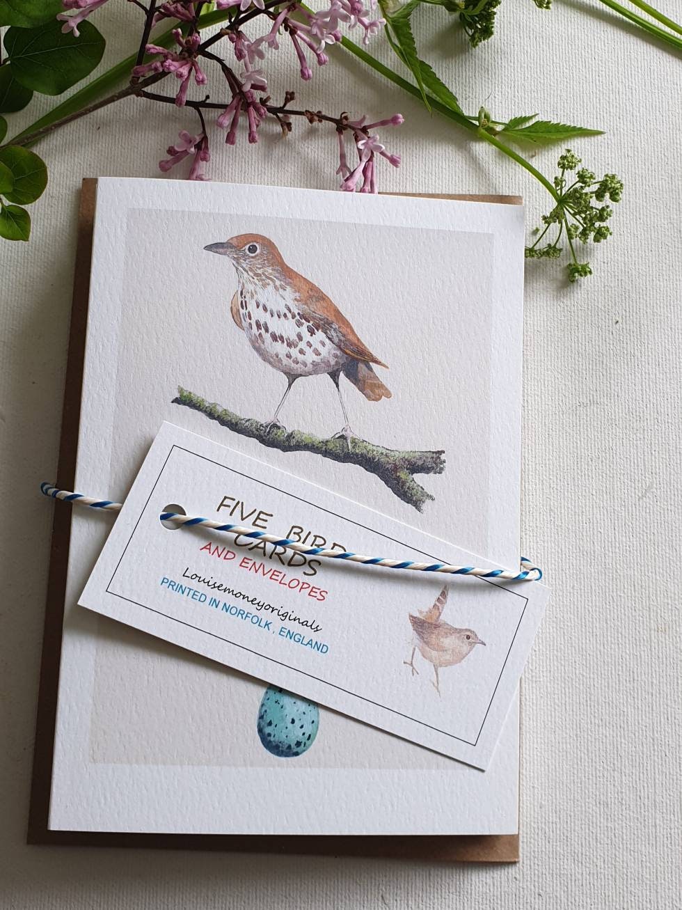 Bird Card Set. Set of Five Bird Cards. Hand Made. Wren - Etsy
