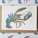 Lobster Card. Lobster Watercolour Card. Lobster Watercolour. A6 Lobster ...