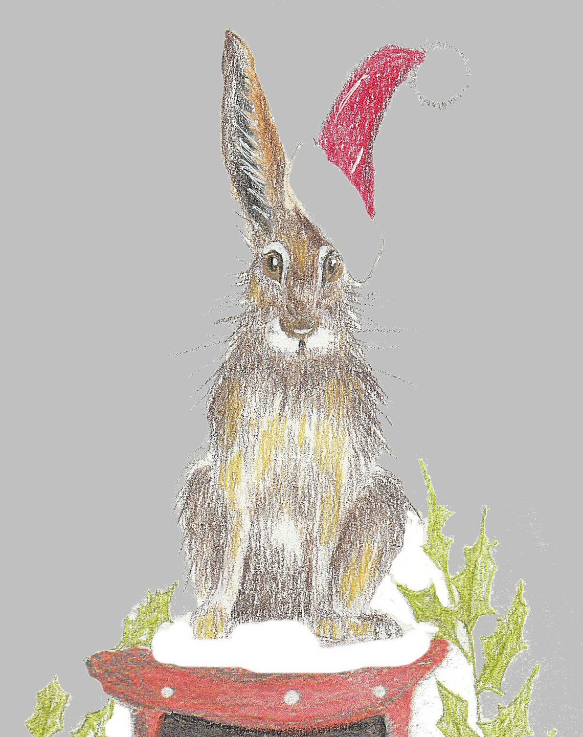 Hare Christmas Cards. Two Hare Designs Featured in a Pack of Eight ...