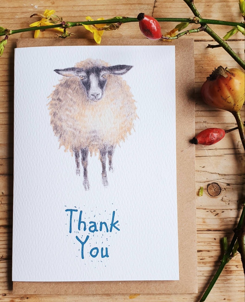 Thank You Cards. Sheep Thank You Card. Thank You. Sheep Card. Card With ...