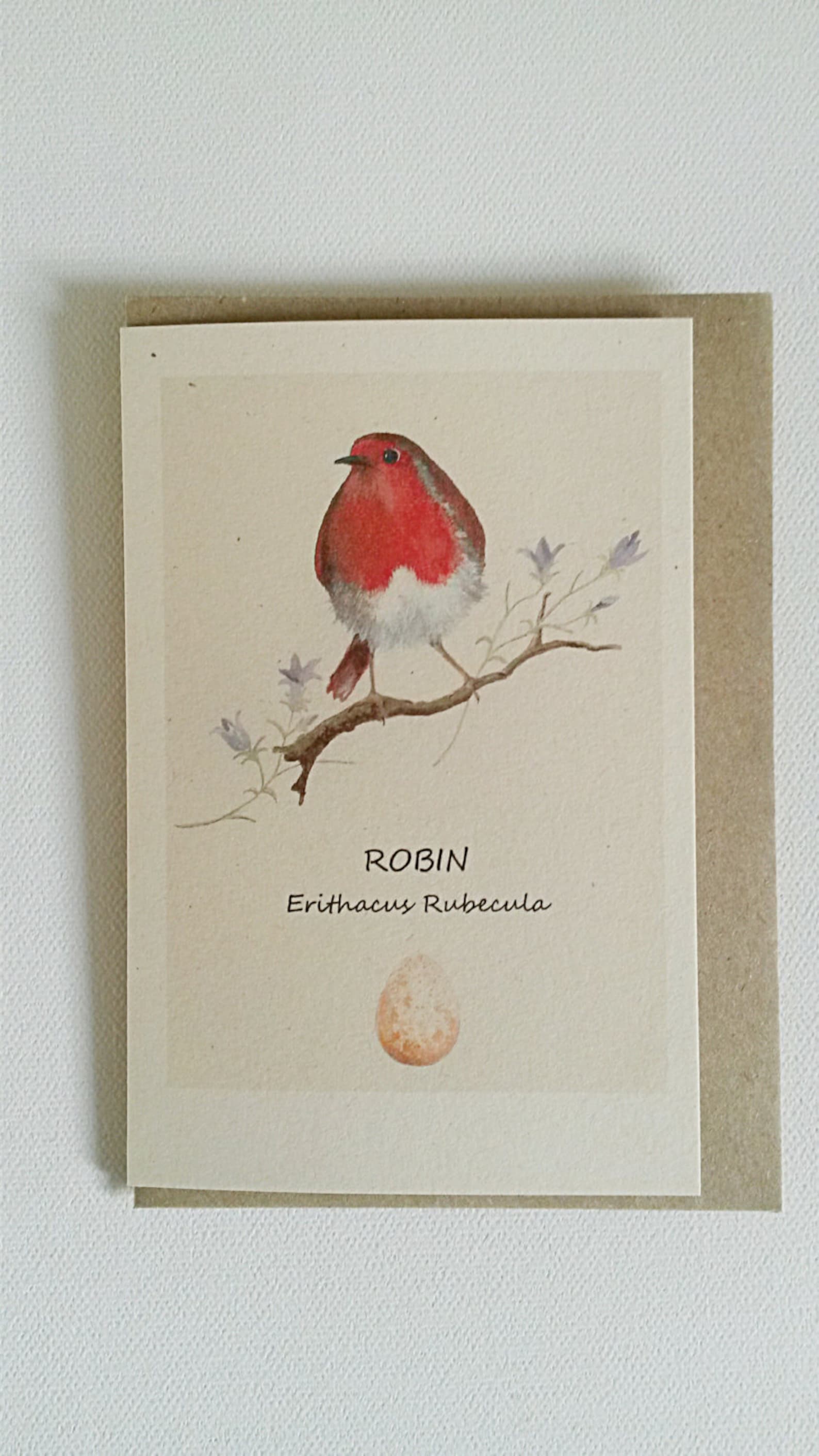 Pack of Five British Bird Cards. Pack of Cards. Bird Cards. Garden ...