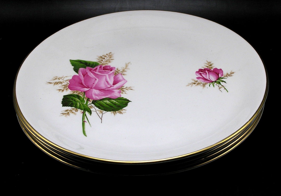 Vntg. Set 4 Swinnertons England Dinner Plates - Etsy