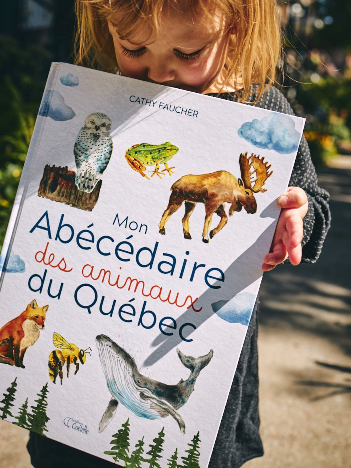 Livre Mon Abécédaire Des Animaux Du Québec Cathy Faucher - Etsy Canada