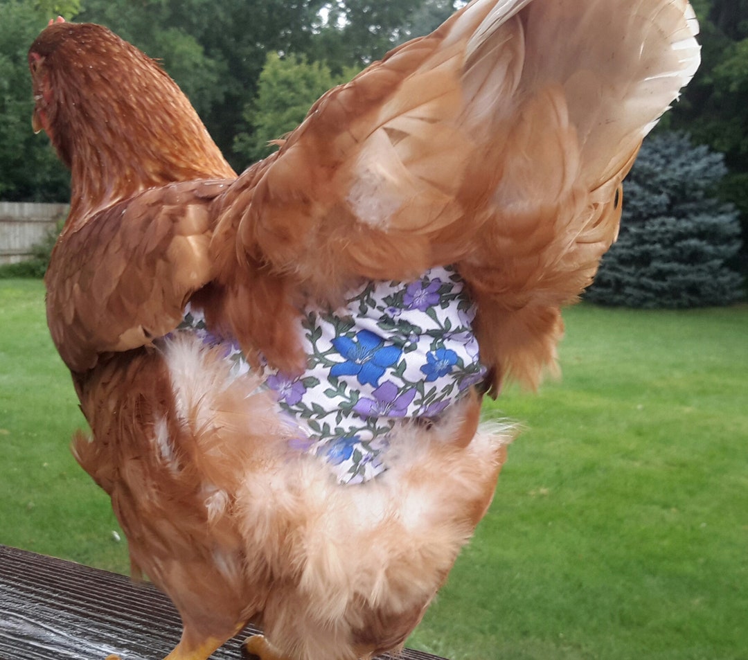 Chicken Diaper/ Hen Diaper/ Standard Chickens/ Random Patterns. - Etsy