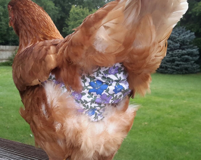 Chicken Diaper/ Hen Diaper/ Standard Chickens/ Random Patterns. - Etsy
