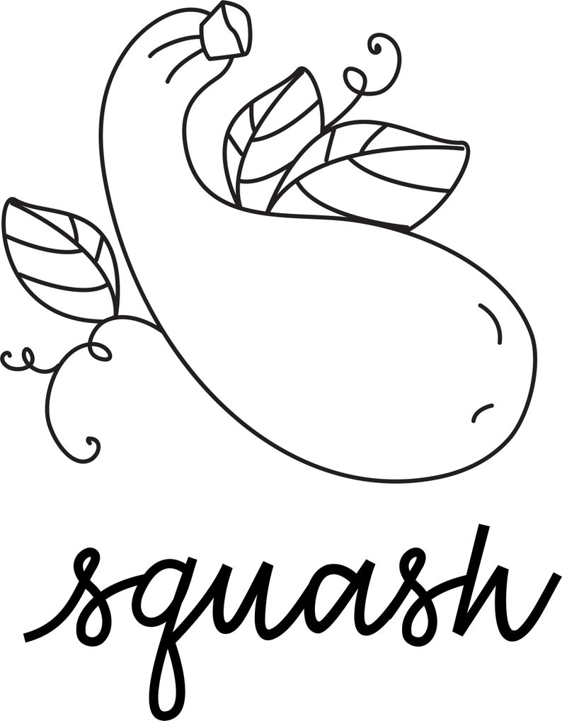 Farmhouse Squash Clipart and SVG File Personal and Small - Etsy