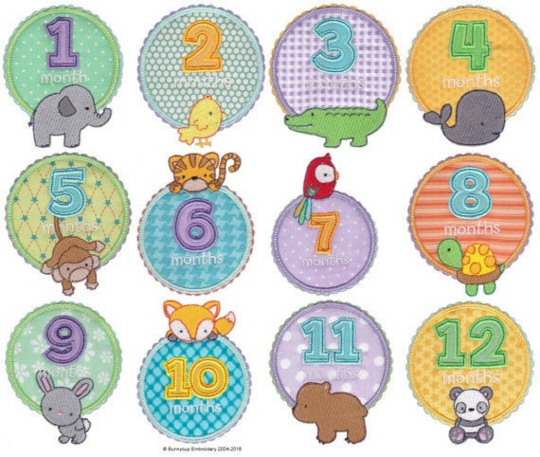 Baby Months Applique - 12 Different Applique Machine Embroidery Designs 4x4 5x7 6x10 - Etsy