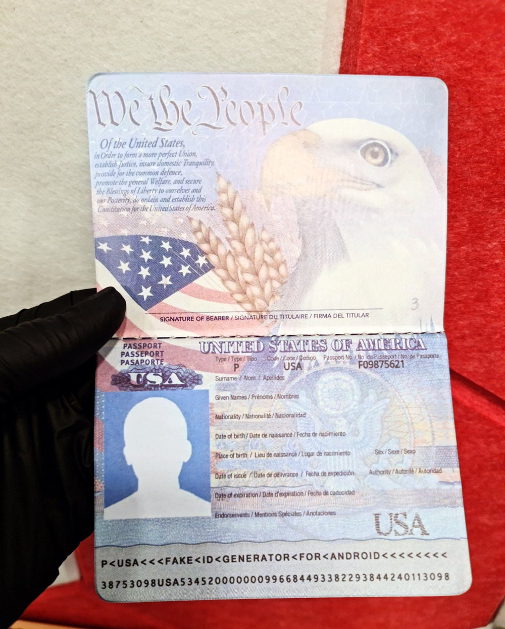American Passport Blank