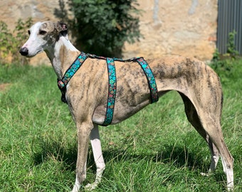 Famous Harness Horse Trotter Legend Greyhound Picture Pedigree - Etsy