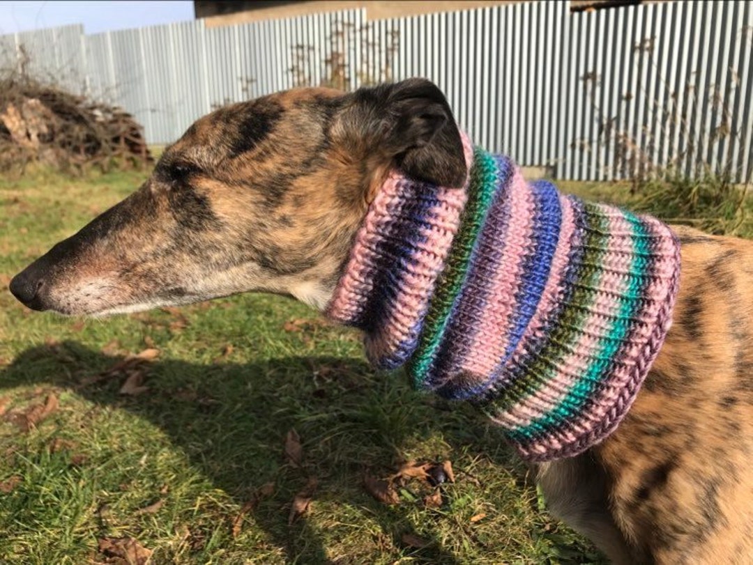 Windhund Hut, Windhund Galgo Windhund Hut, Snood, Windhund Snood ...