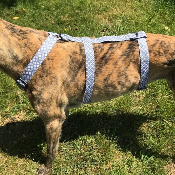 Dog Harness - Etsy