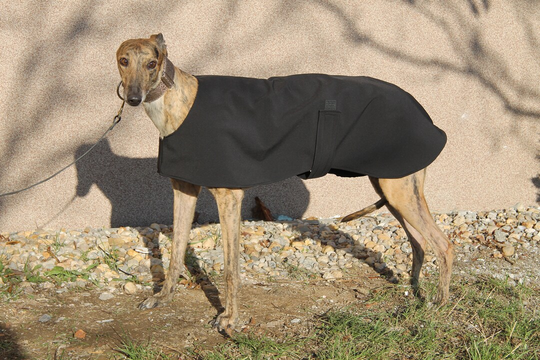 Luxury Softshell Greyhound Coat: Spring Autumn Dog Apparel - Etsy