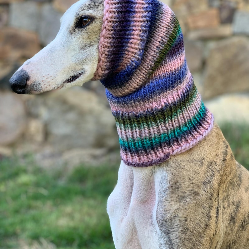 Greyhound Snood - Etsy