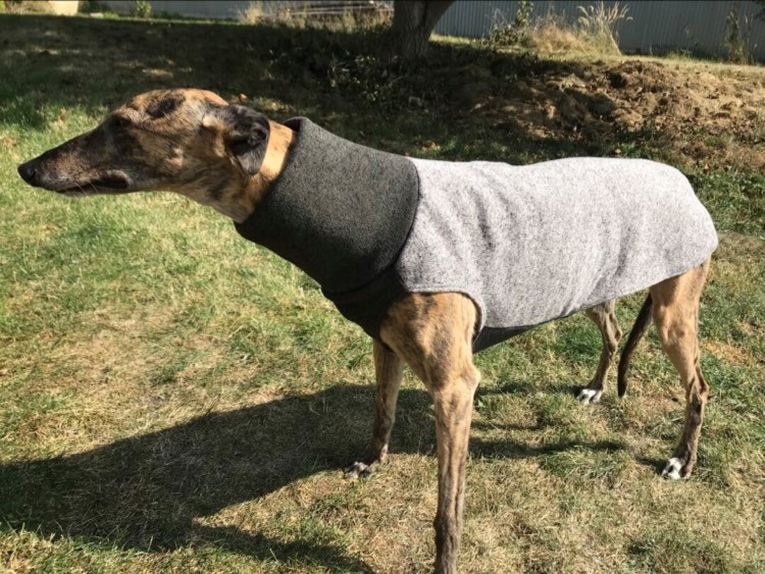 Greyhound Clothing, Greyhound Sweater, Greyhound Pajamas, Galgo Pajamas ...
